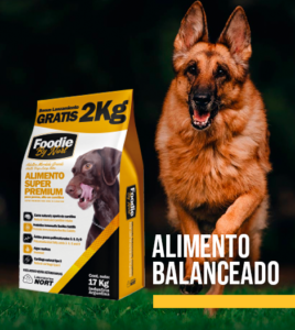 Laboratorios Nort - Laboratorios Nort