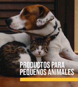 Laboratorios Nort - Laboratorios Nort