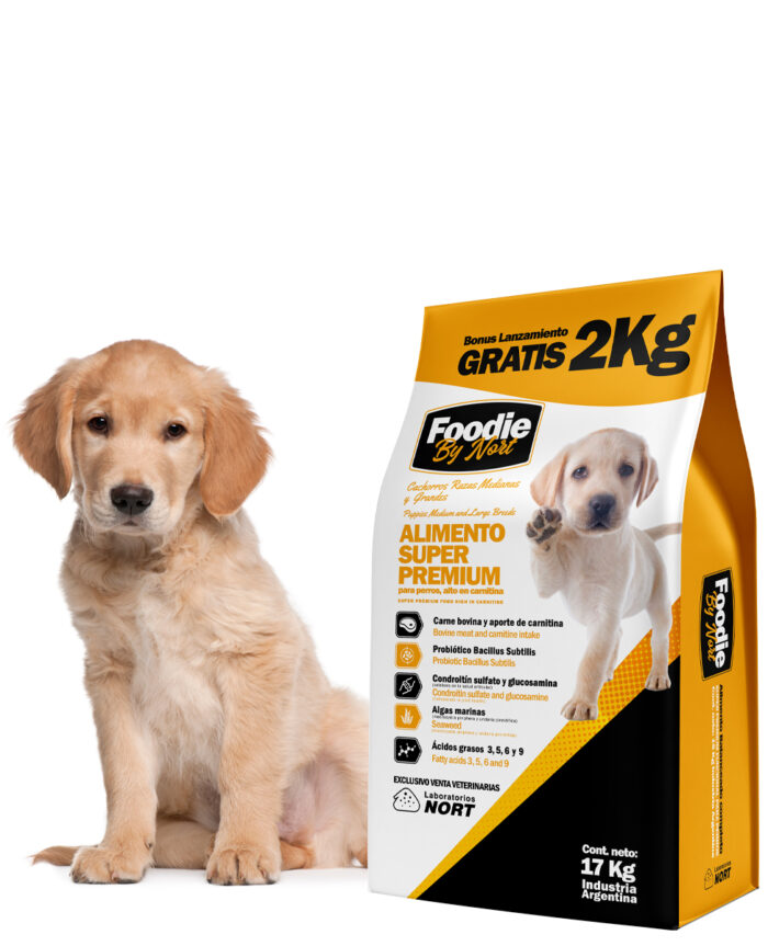 Cachorros Grandes - Laboratorios Nort