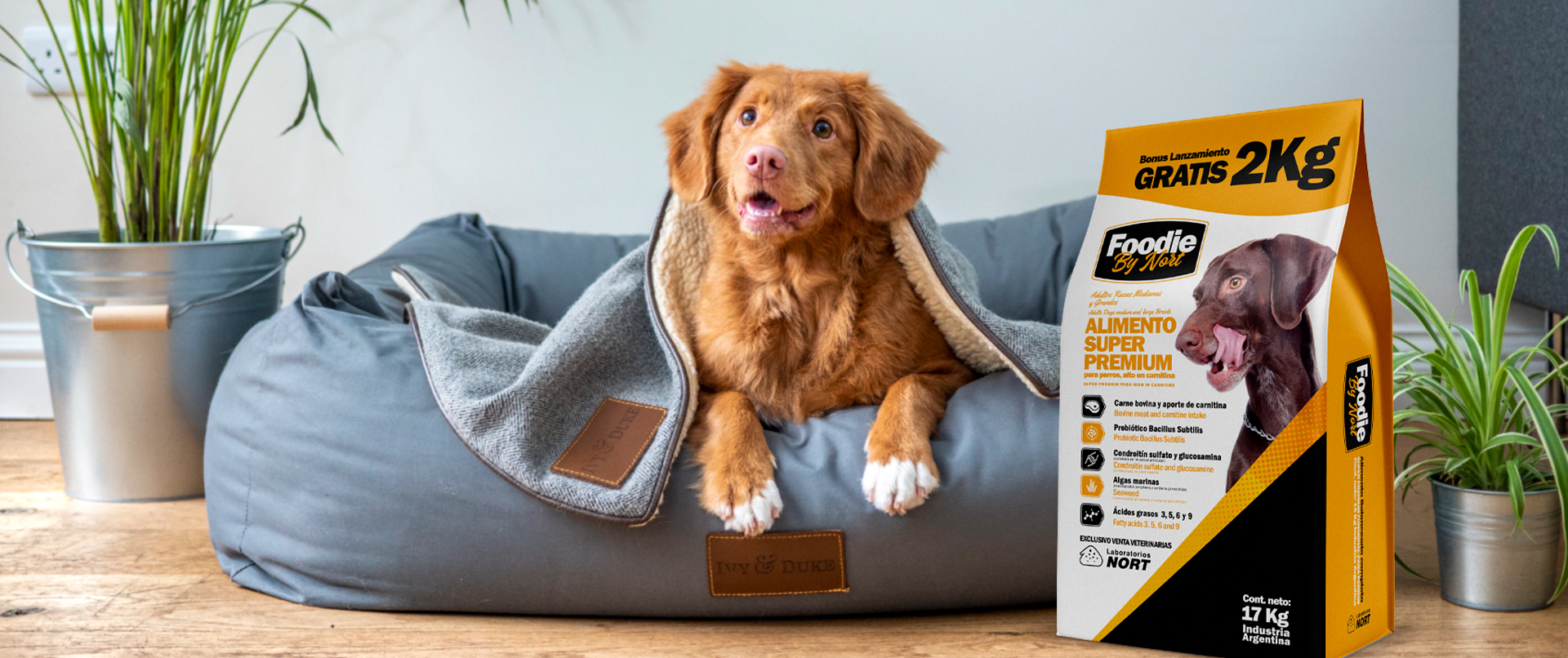 Laboratorios Nort - Laboratorios Nort