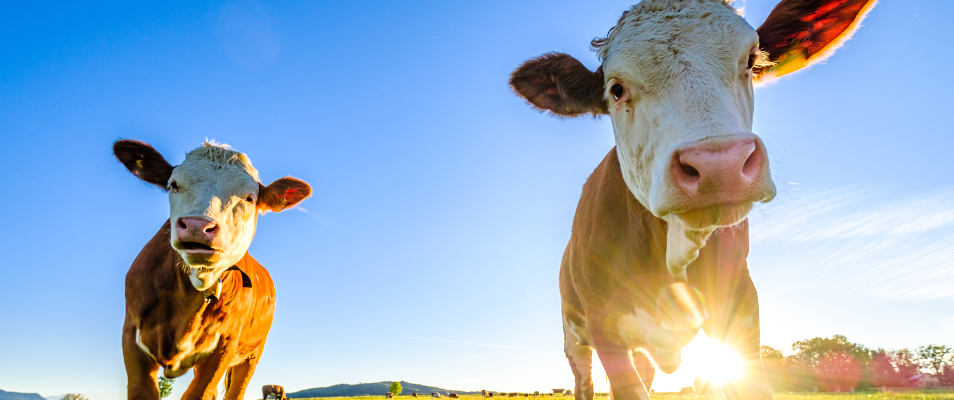 Laboratorios Nort - Laboratorios Nort