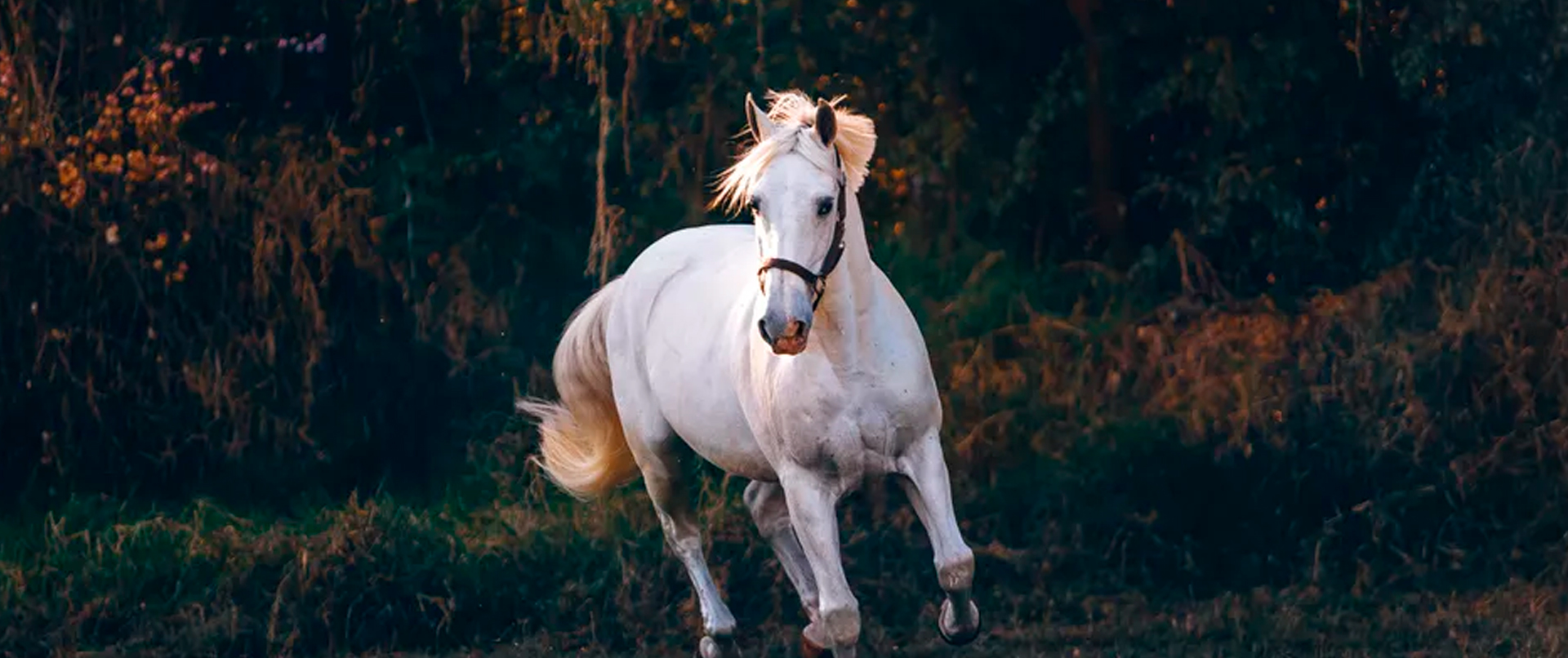 Laboratorios Nort - Laboratorios Nort