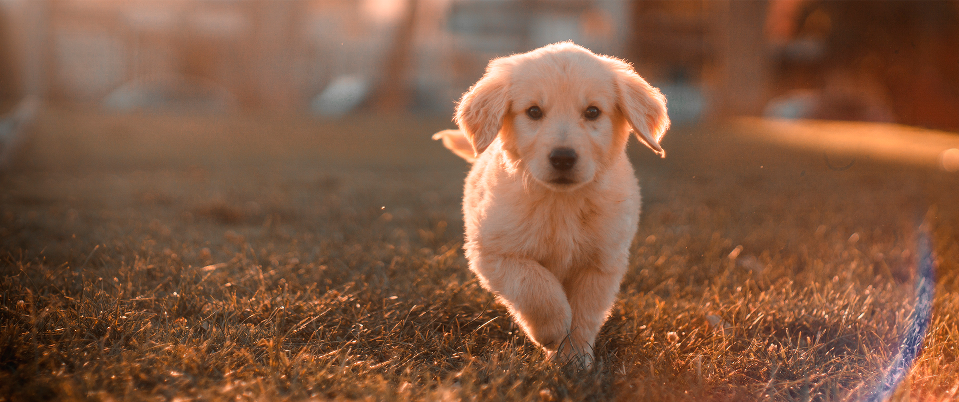 Laboratorios Nort - Laboratorios Nort